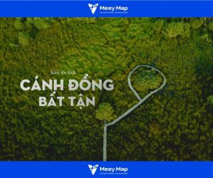 Bản đồ Hành Chính Long An Phóng To Khổ Lớn Năm 2025